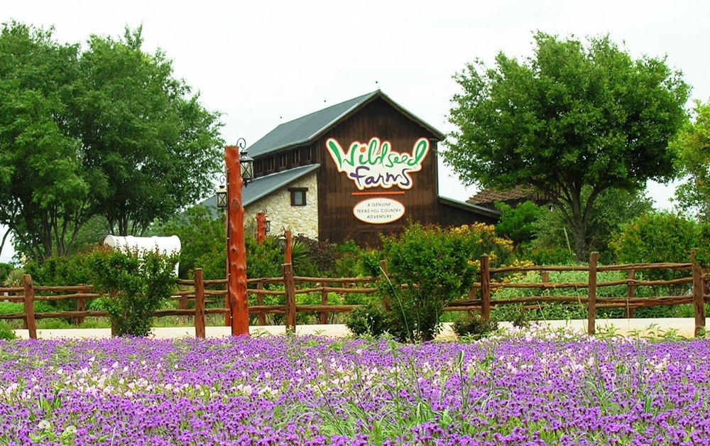 Vineyard Station | A Unique Destination Stay Experience